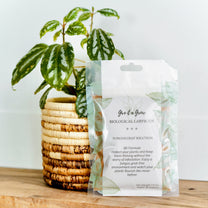 Bti Fungus Gnat Prevention: Effective and Environmentally Friendly ...