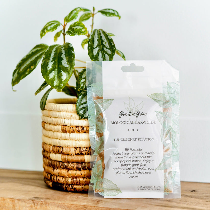 Bti Fungus Gnat Prevention: Effective and Environmentally Friendly ...